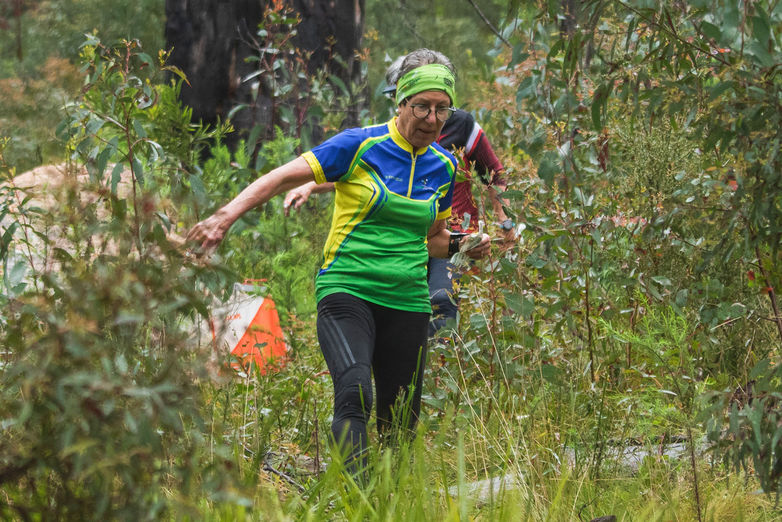 eNews - Orienteering Australia
